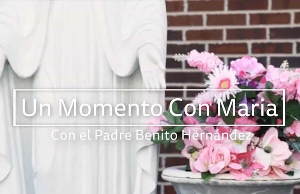 Maria momento thumbnail | El Pueblo Católico
