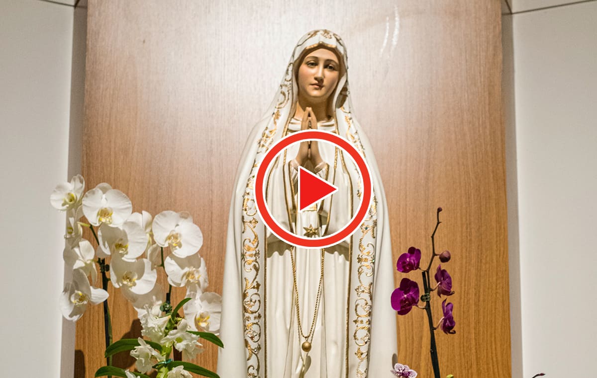 Image OLOF Play | El Pueblo Católico